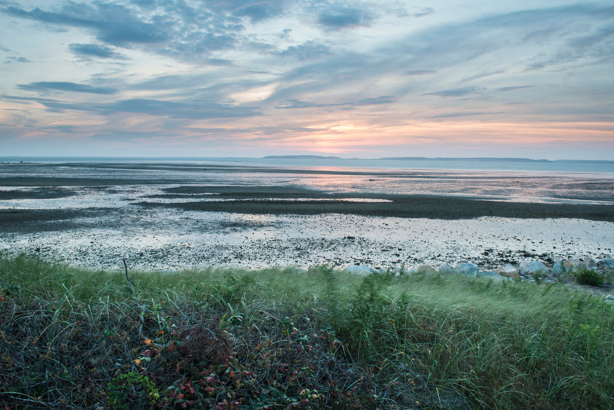 Sarah Holbrook – Salmon Falls Gallery